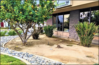 JQuery Cycle Plugin - Basic Demo